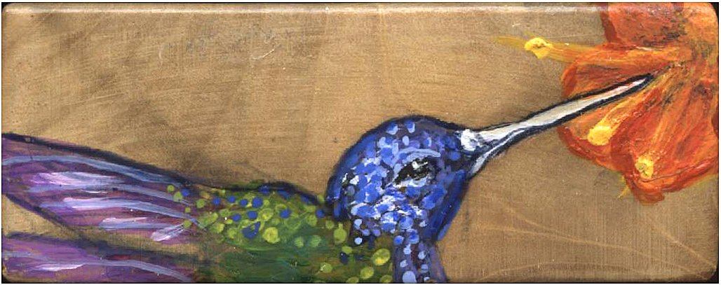 Hummingbird Project — Minnie's Art Studio